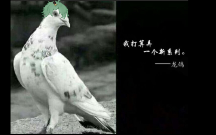 龙哥表情包or黑历史