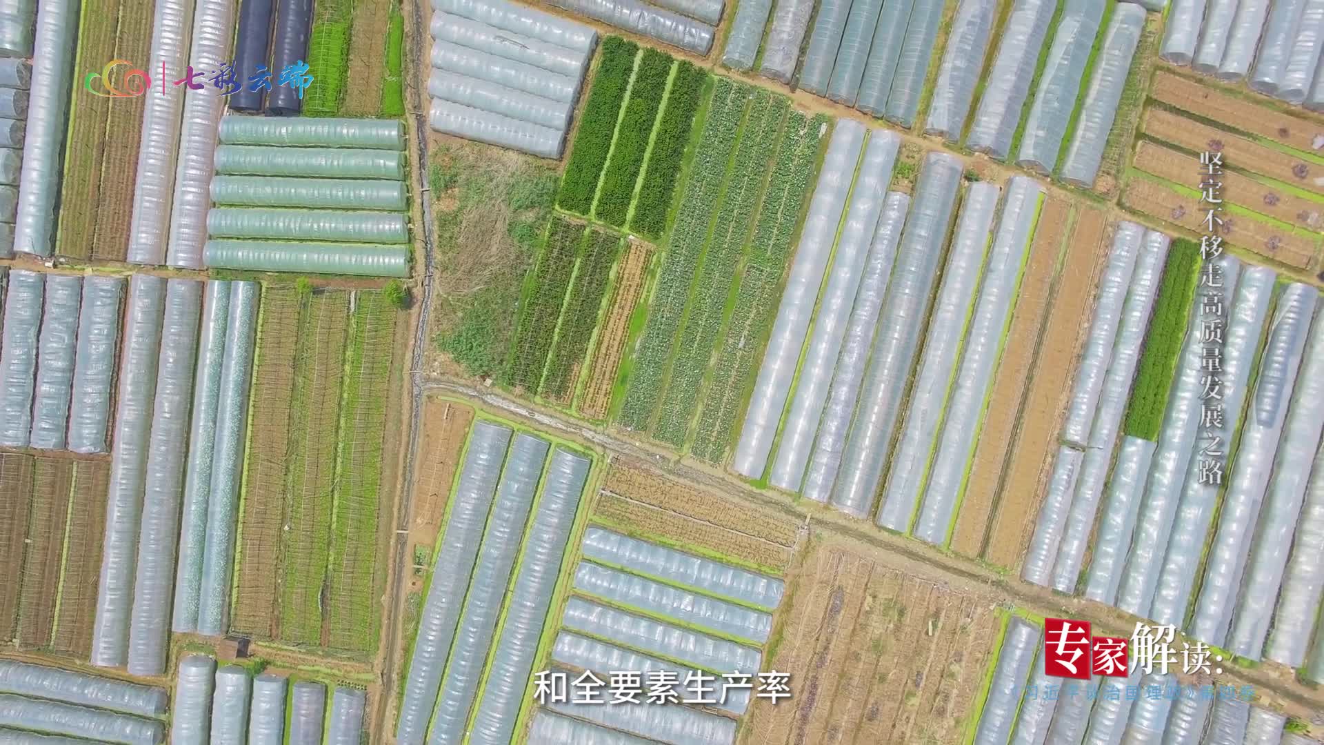 【专家解读】坚定不移走好高质量发展之路