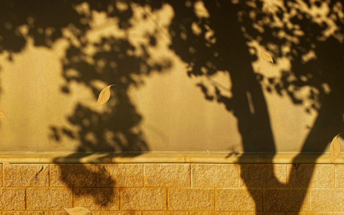 价值分析与价值工程