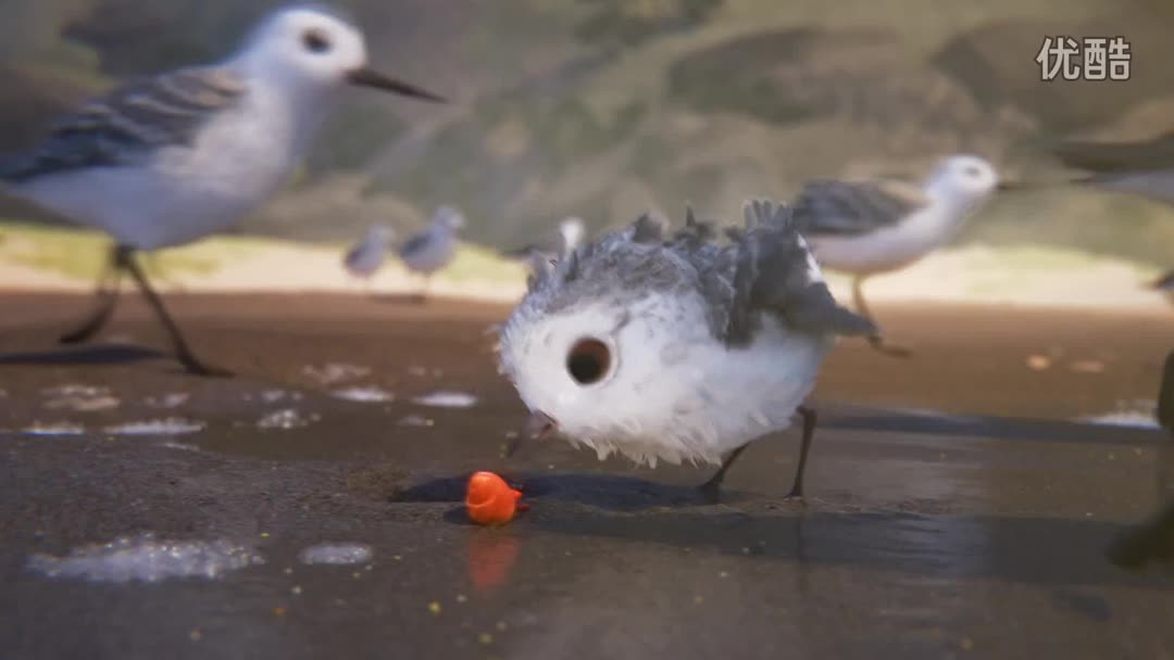 《励志正能量小视频-学习成长》面对、尝试、挫折、改变、创新、强大