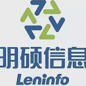 明硕防伪税控接口 