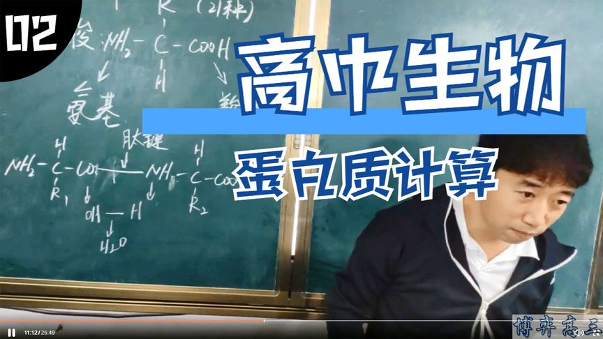 新高考:生物必修一蛋白质计算问题 (2)