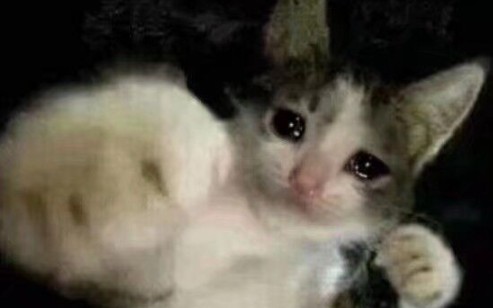 S级屠夫的信仰人类有多恐怖,只能说人类信仰不配赢