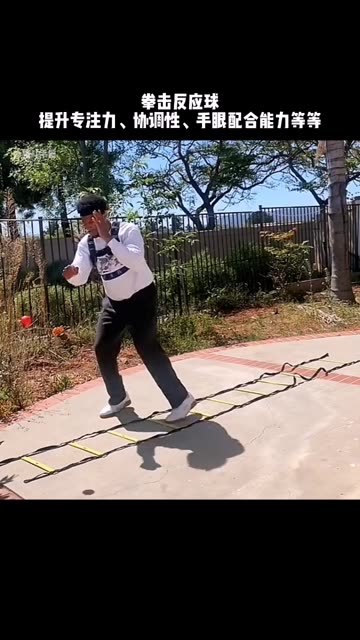 四分之一是天赋,四分之三是努力