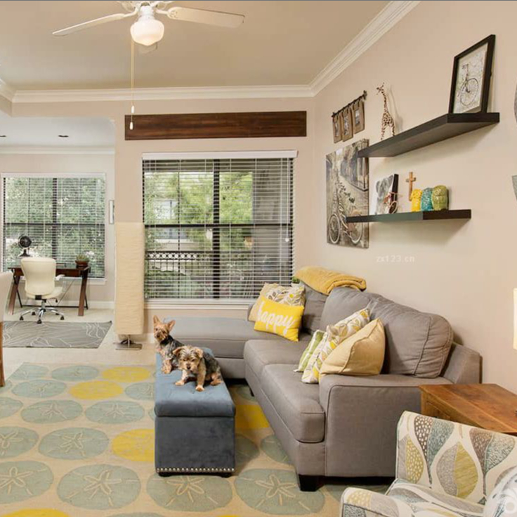 家居专家在这里 