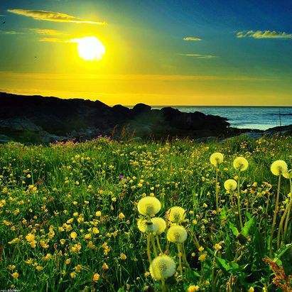 70后小蓉姐生活录 