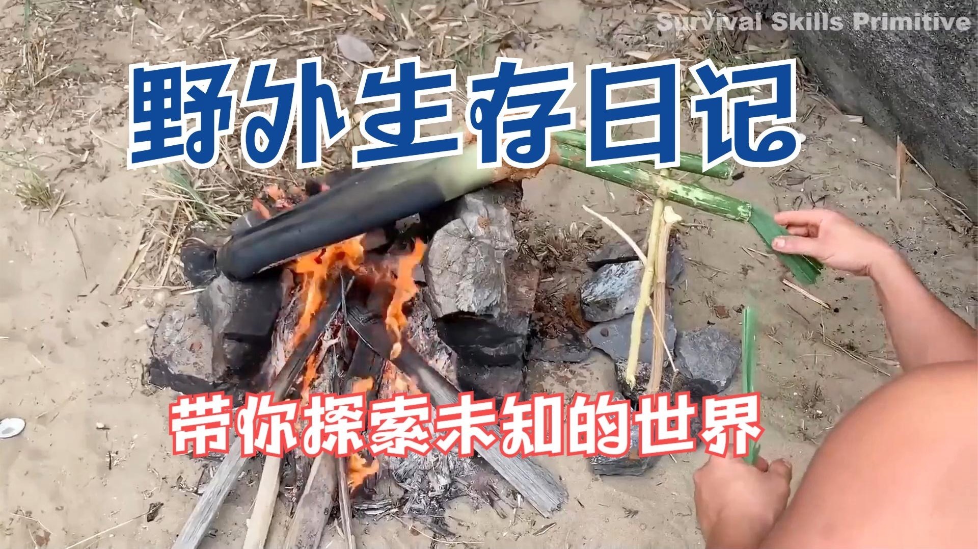 荒岛求生挑战:小伙在荒岛用竹筒制造淡水蒸馏器,这下有水...