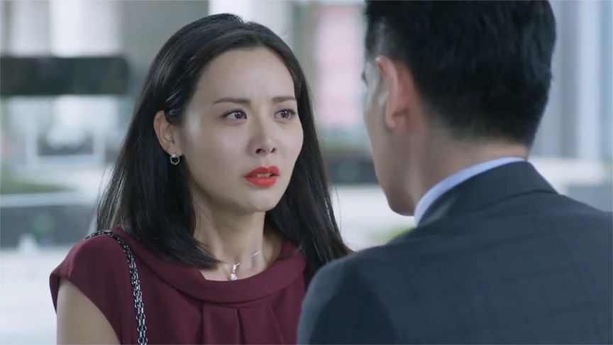 梅花儿香:董事会想要挤走女总,小伙的话,让全员紧急更改决议