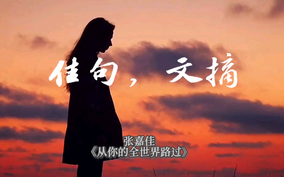 张嘉佳《从你的全世界路过》 经典语录(文摘,佳句)