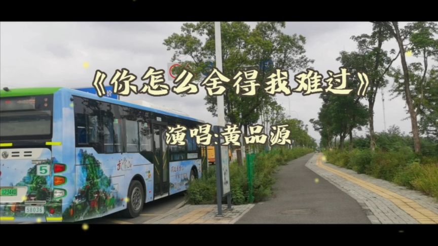 《你怎么舍得我难过》黄品源～完整版