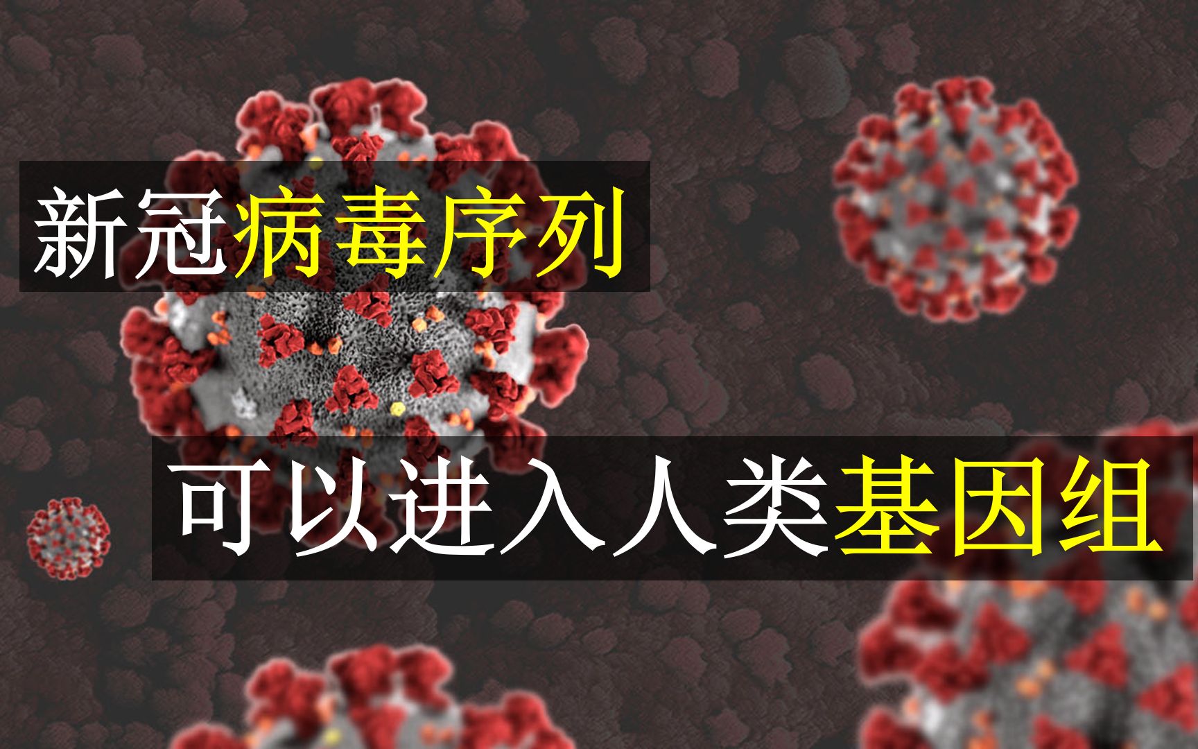 研究发现新冠病毒序列可以进入人类基因组,意味着什么?
