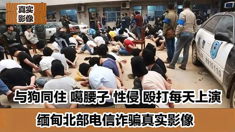 缅北电信诈骗真实影像,人体器官被明码标价,自杀都是痴心妄想