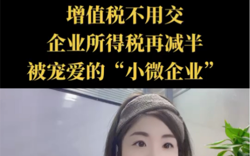 增值税不用交?企业所得税再减半?小微企业如此受宠?