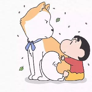 y踏雪无痕 