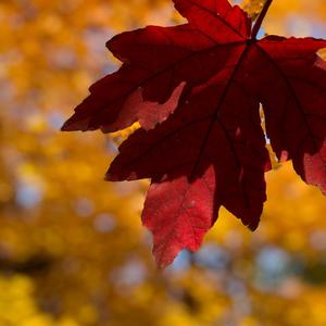 讲台灶台人生大舞台 