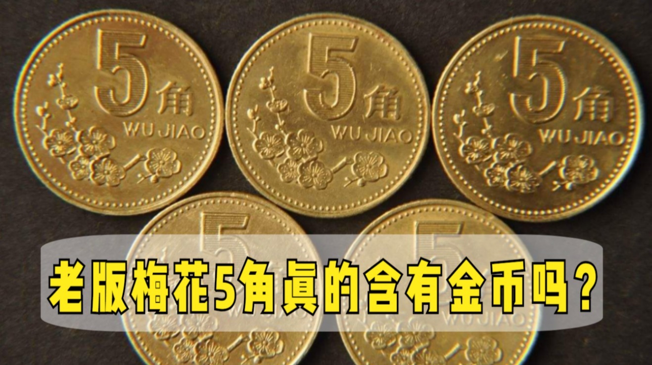 老版梅花5角真的含有金币吗?银行员工透露,真相让人意外