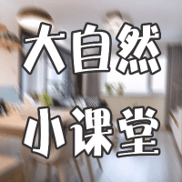 大自然小课堂 