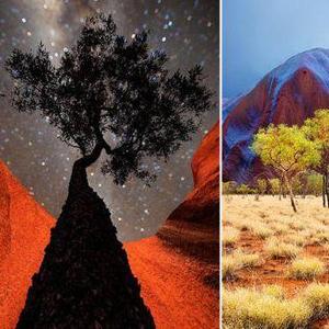 梵高不一是梵高的 