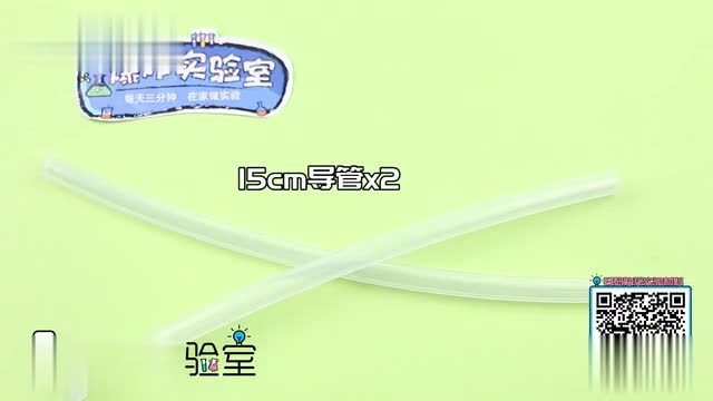 人体的"生命之源"遍布全身的血管原来是这样交替循环的!