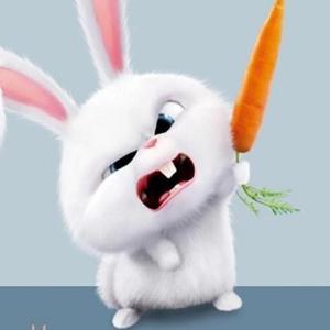 月下老人丨柴道煌 