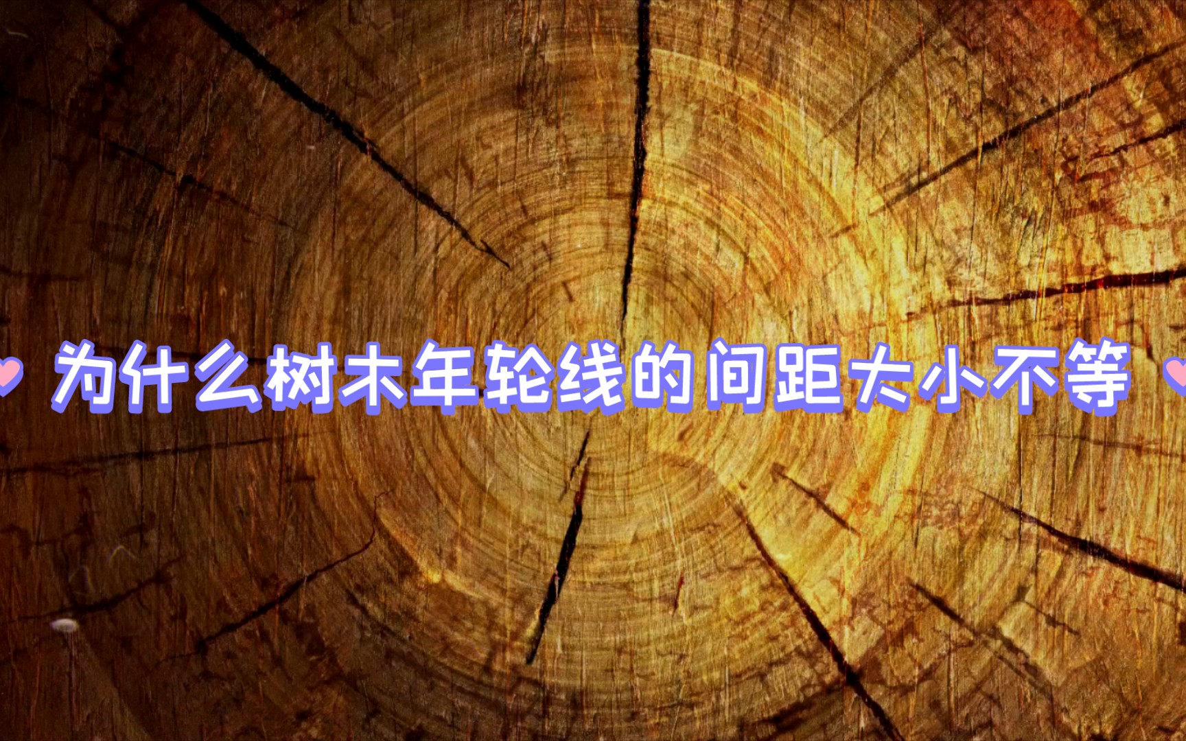 为什么树木年轮线的间距大小不等