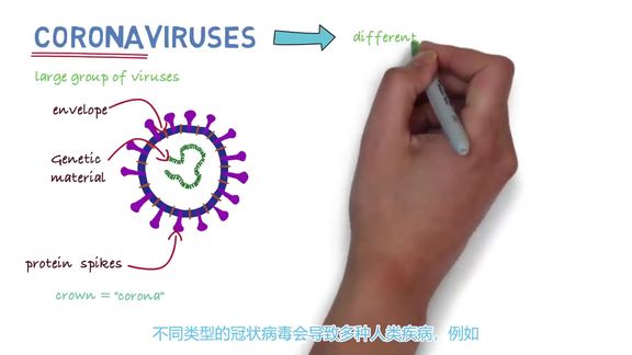 “美丽”的冠状病毒 除了新型肺炎之外 到底还曾引起了多少疾病
