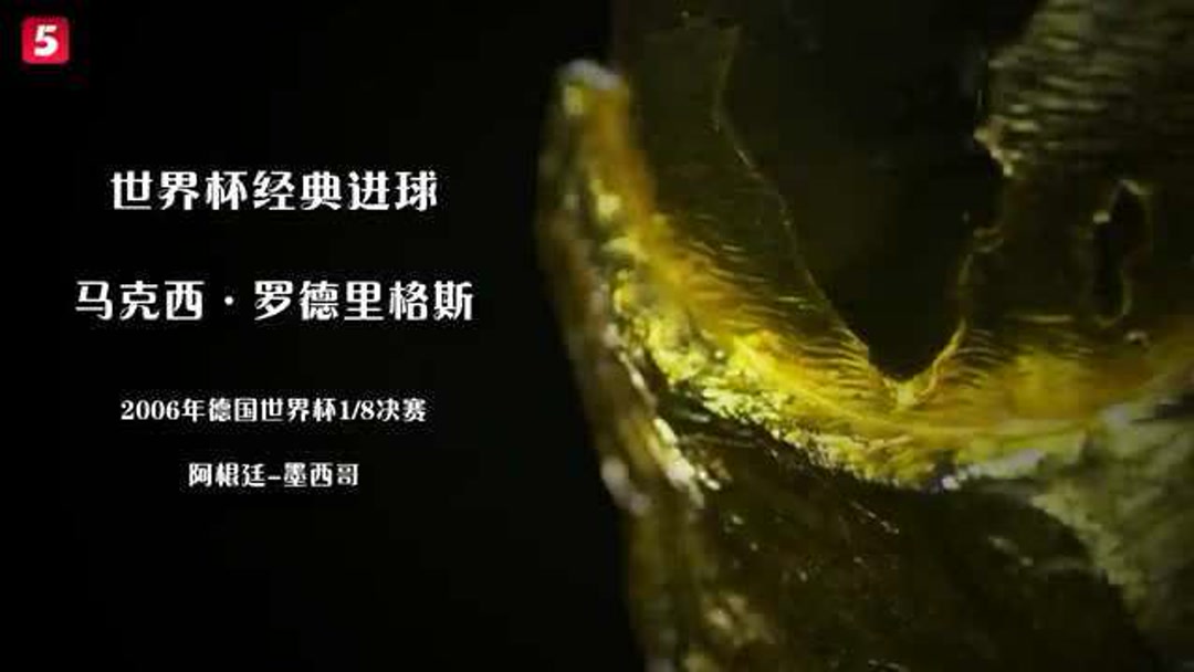 世界杯经典进球:马克西-罗德里格斯无敌天外飞仙