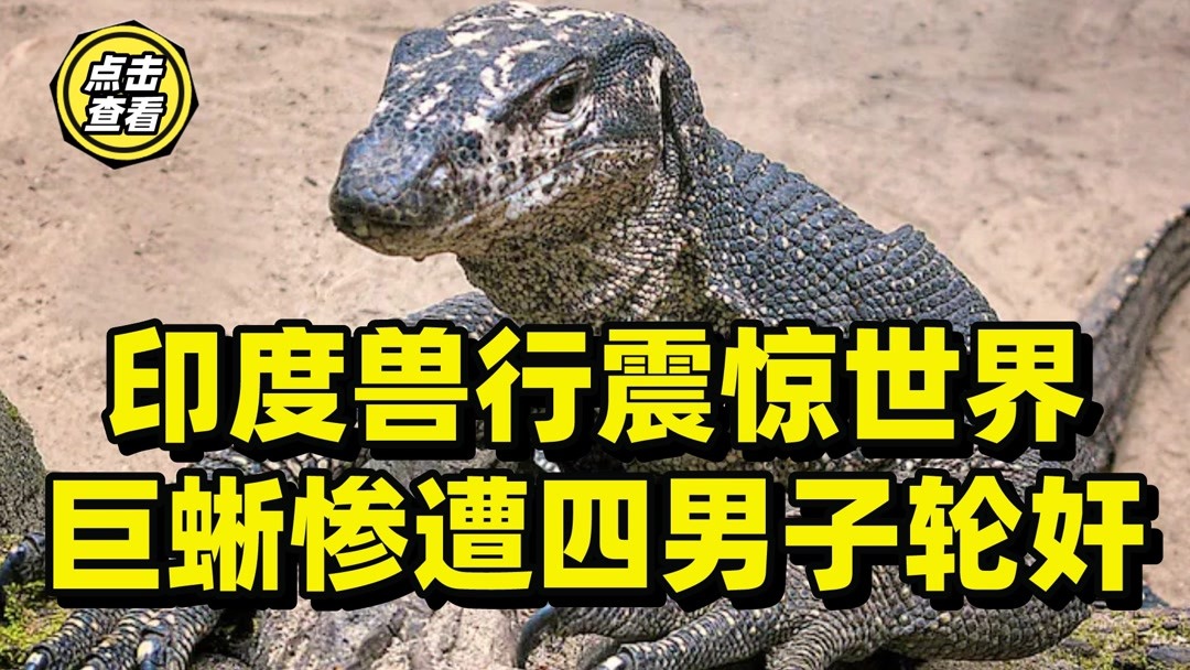印度兽行震惊世界,四男子闯入保护区轮奸巨蜥并拍下视频