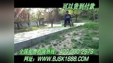 电动轮椅 老年代步车 电动三轮车