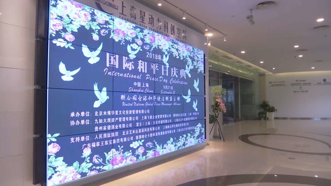 2018年国际和平日庆典暨和平发展共创未来高峰论坛隆重举行
