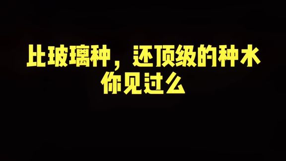 玻璃种翡翠,但比翡翠玻璃种,还顶级的种水,你知道是什么?看到最后让...