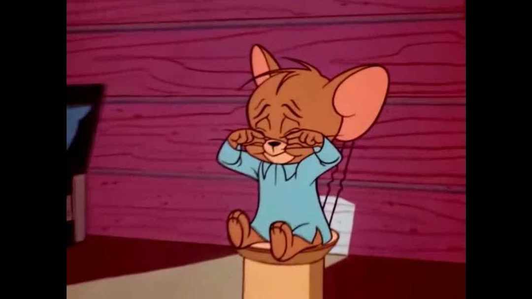 猫和老鼠全集TV (80)
