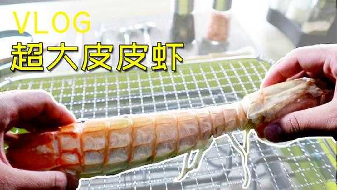 百元挑战:小伙用70元买了一只胳膊大的皮皮虾,吃完还能悟出哲理