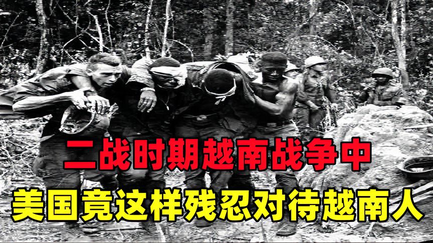 在二战时期越南战争中,美国人是如何自食恶果的?