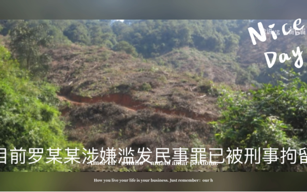 央视评砍自家林木村民被拘,甘洛县一村民涉嫌滥伐林木罪被刑拘。