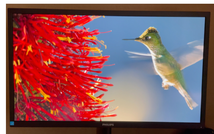 飞利浦27E1N8900 OLED显示器播放HDR视频 ,要打开杜比视界选项观看