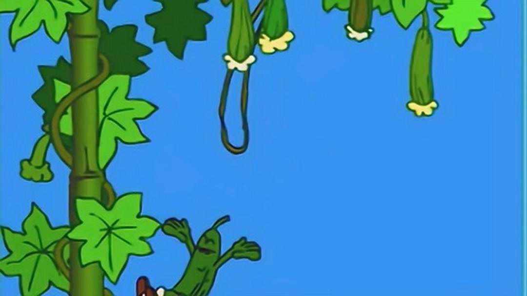 宝宝认知启蒙系列之丝瓜