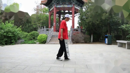 学广场舞鬼步舞先学什么 儿童群舞舞蹈鬼步舞视频教程大全 最好看的...