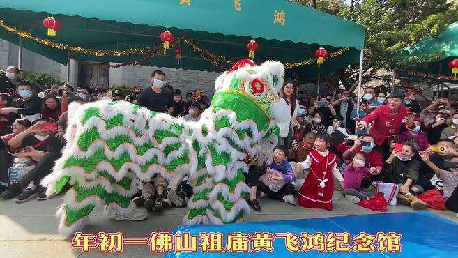 黄飞鸿中联武术龙狮团醒狮文化, 醒狮表演