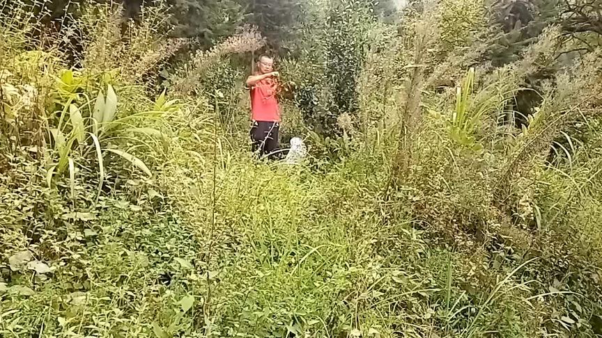 白云深处有人家 富硒山水富硒茶 #我的乡村生活 #高温下的劳动者