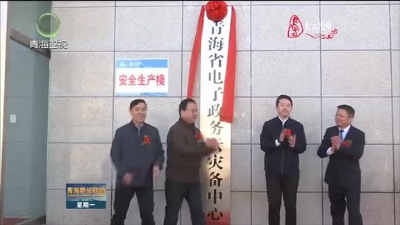 青海移动电子政务云灾备中心在格尔木市建成