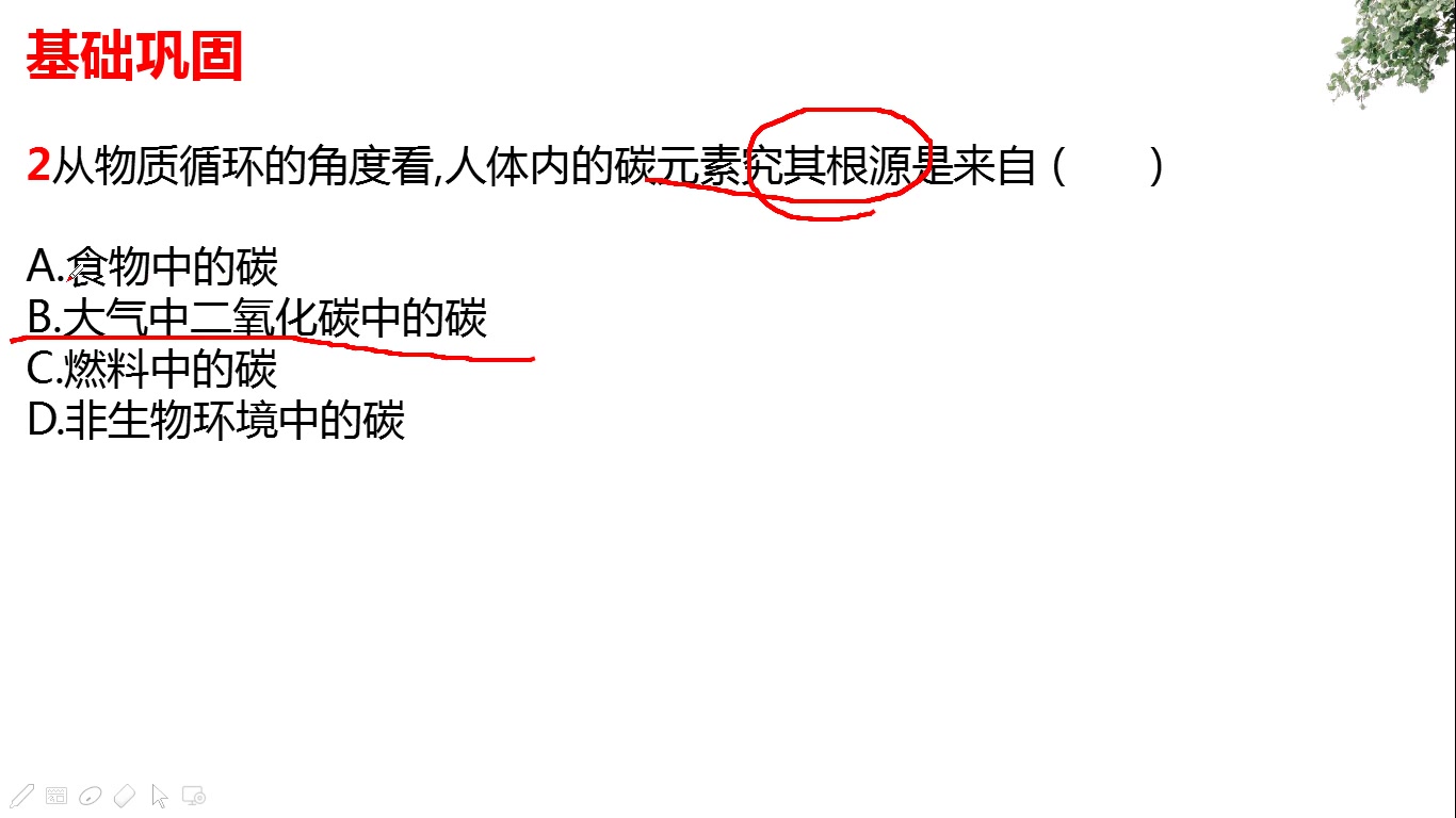 5.3生态系统的物质循环部分习题讲解