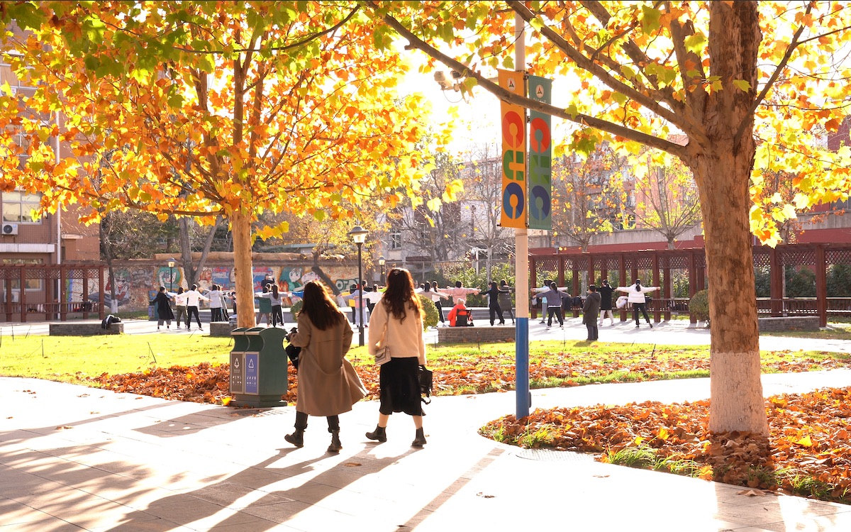 忆中传|忆往昔【纪录片】