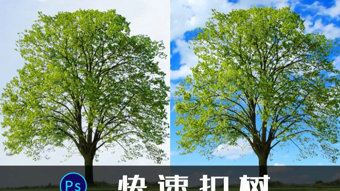 【ps教程】细节超多的大树要怎么抠?一个视频教会你
