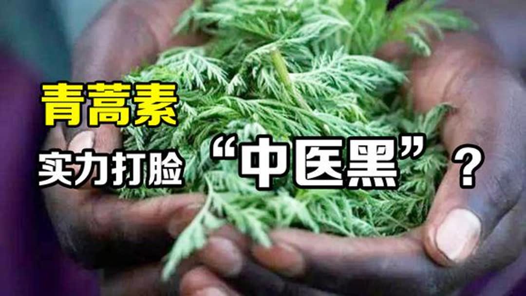 青蒿素的发现,是否实力打脸了“中医黑”?