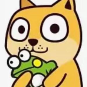 柴欣 
