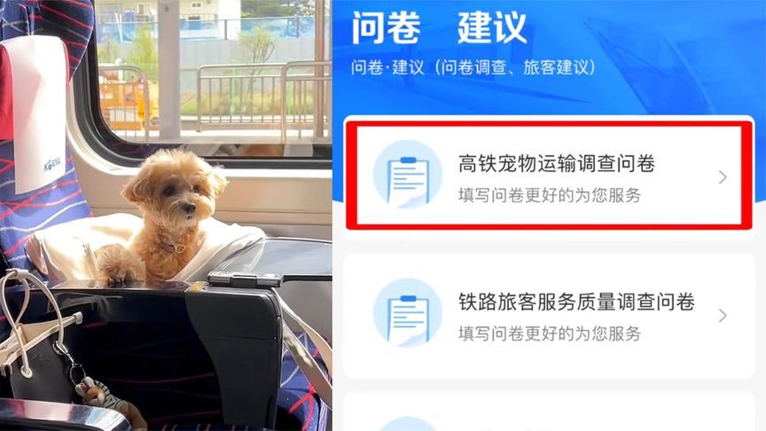 宠物有望上高铁了!12306推出高铁关于高铁宠物运输调查问卷
