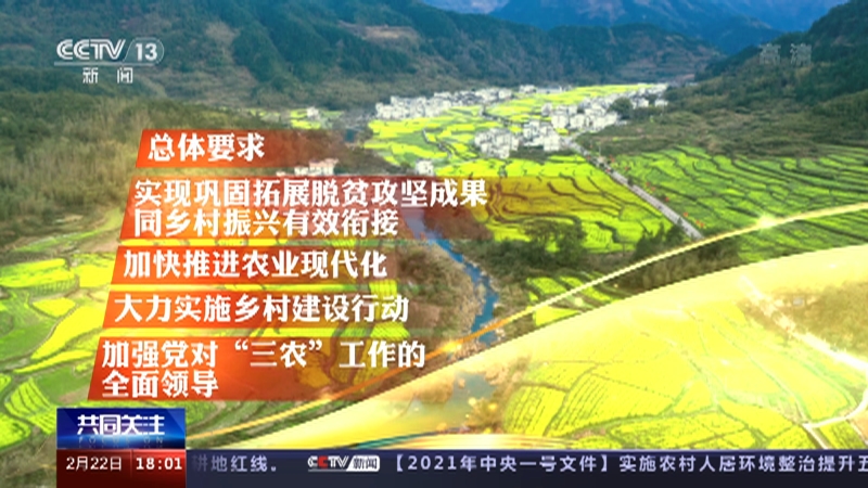 [共同关注]2021年中央一号文件发布 聚焦五大内容 为乡村振兴谋篇布局