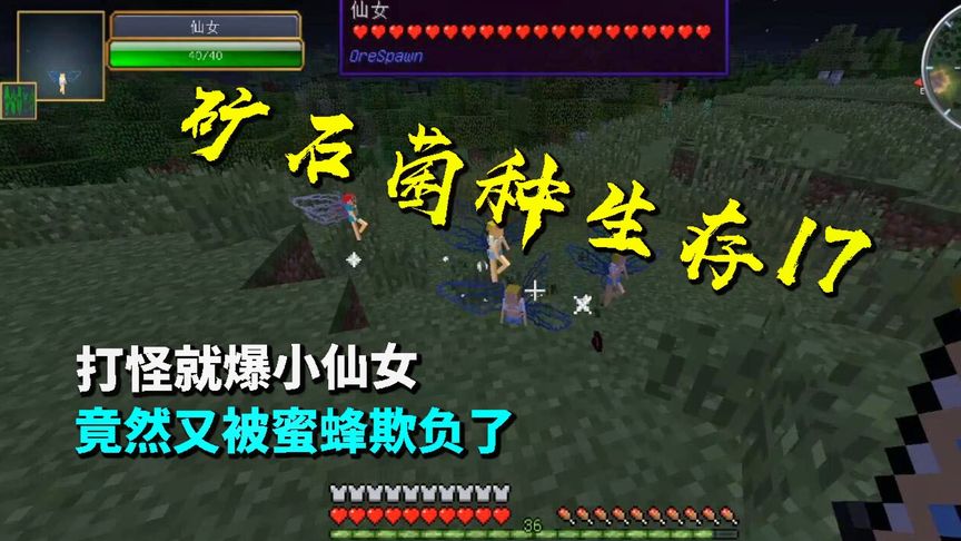 我的世界矿石菌种17:打怪就爆小仙女,竟然又被蜜蜂欺负了