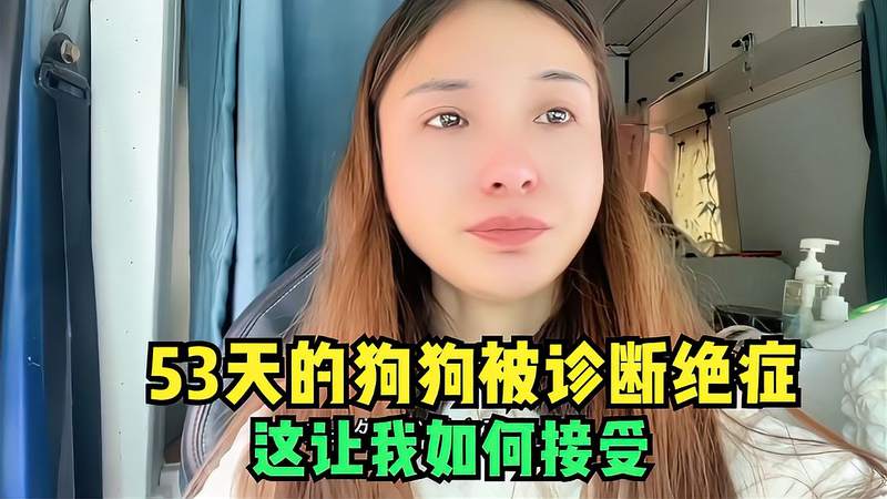 53天的狗狗被诊断绝症,同时患上犬瘟细小冠状,希望能出现奇迹